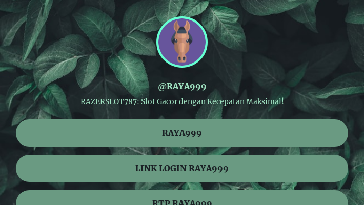 @RAYA999 | Link Space