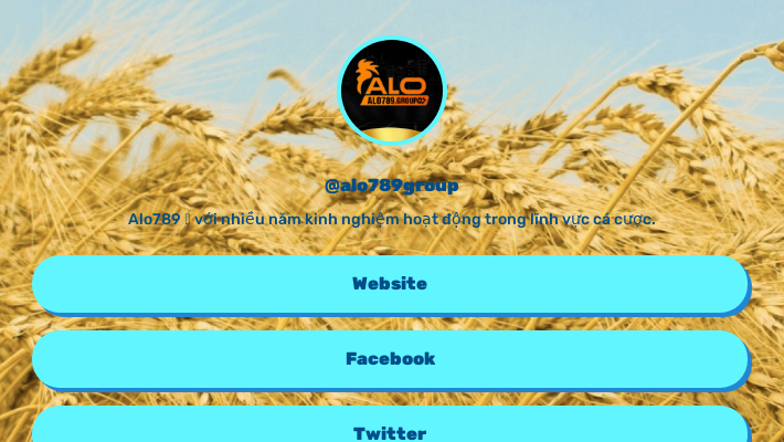 @alo789group | Link Space