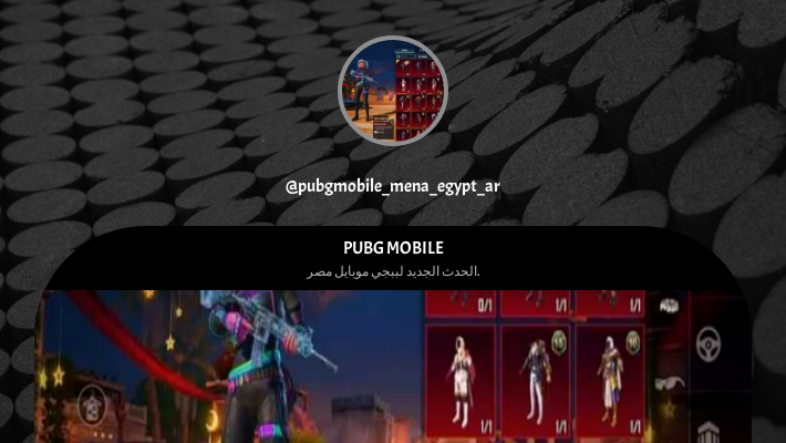 @pubgmobile_mena_egypt_ar | Link Space