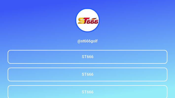 @st666golf | Link Space