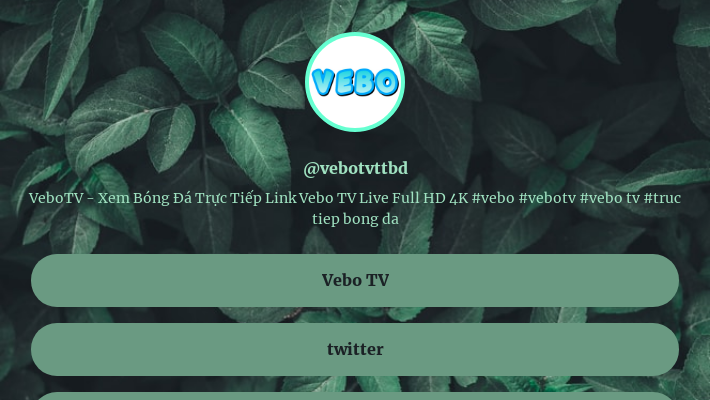 @vebotvttbd | Link Space