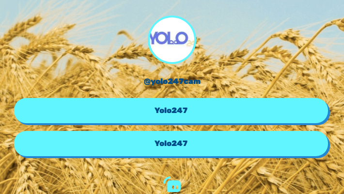 @yolo247cam | Link Space