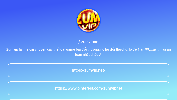 @zumvipnet | Link Space